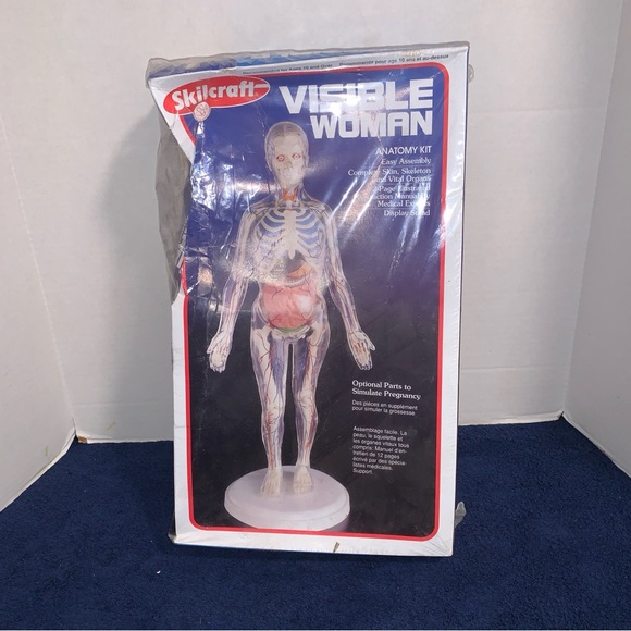 Skilcraft | Toys | Vintage 456 Skilcraft Visible Woman Anatomy Model ...